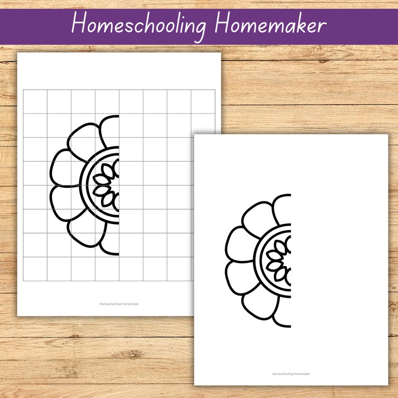 Symmetry Drawing Worksheets-flowers, Symmetrical Drawing for Kids ...