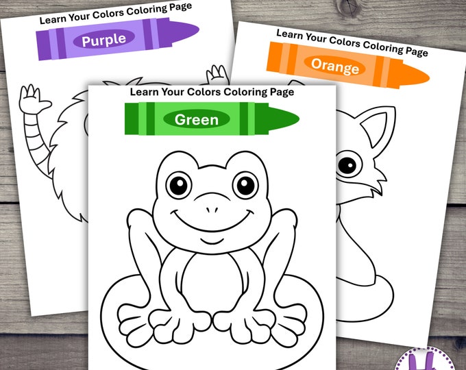 Instant Download Learn the Colors PRINTABLE Coloring Pages - Etsy
