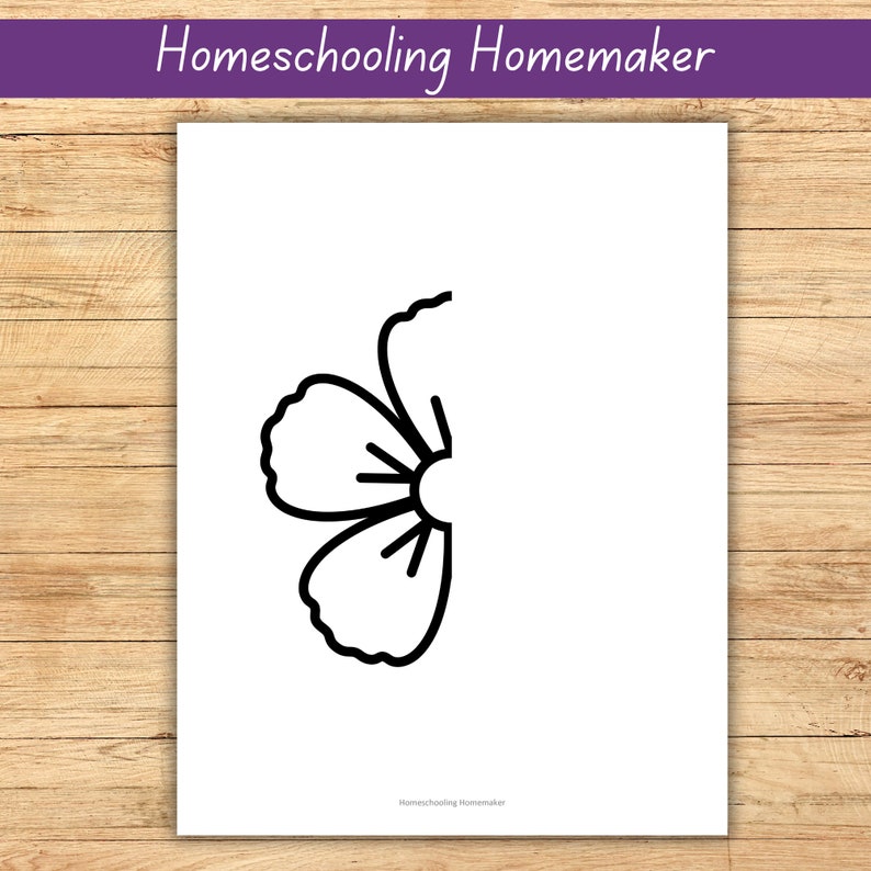Symmetry Drawing Worksheets-flowers, Symmetrical Drawing for Kids ...