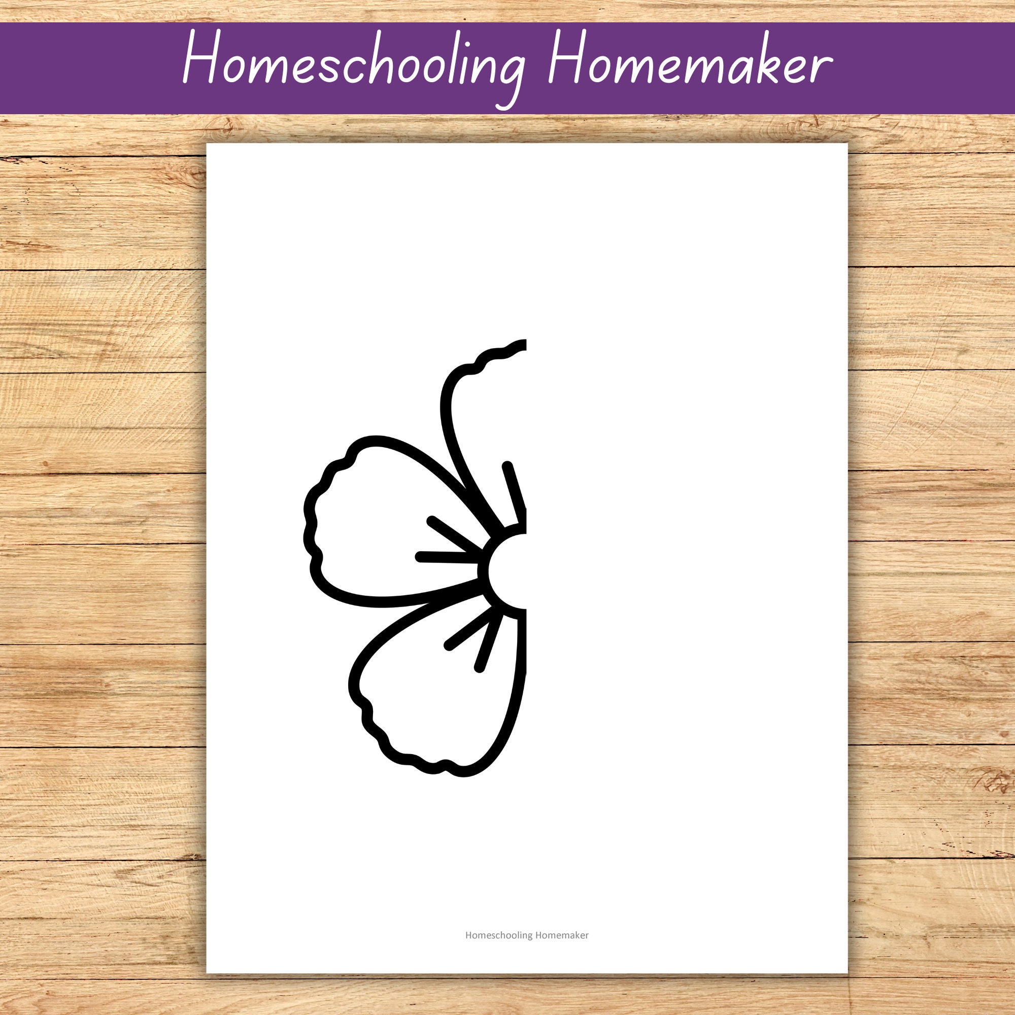 Symmetry Drawing Worksheets-flowers, Symmetrical Drawing for Kids ...
