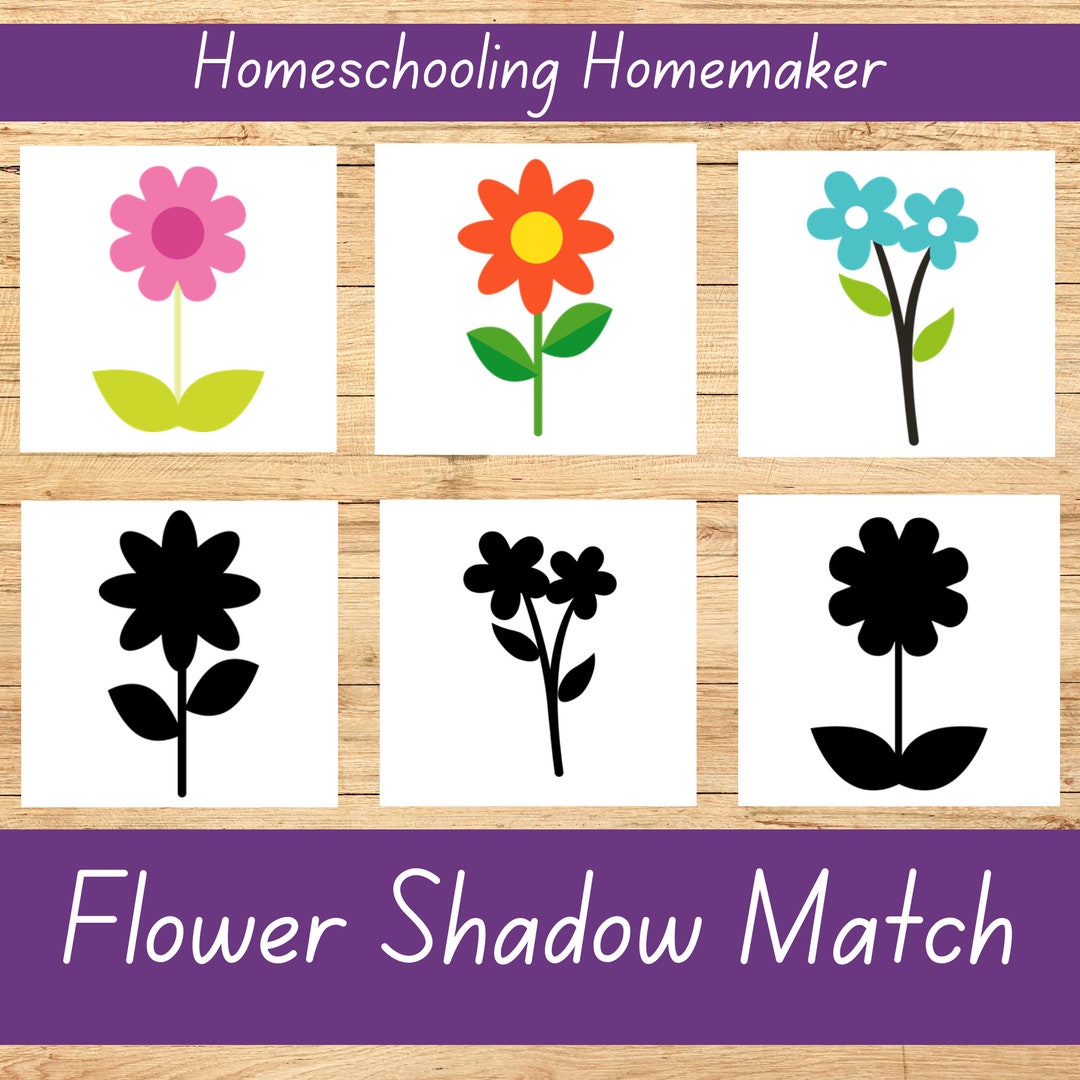 Shadow Matching Cards Flowers, Printable PDF, Preschool, Toddler ...