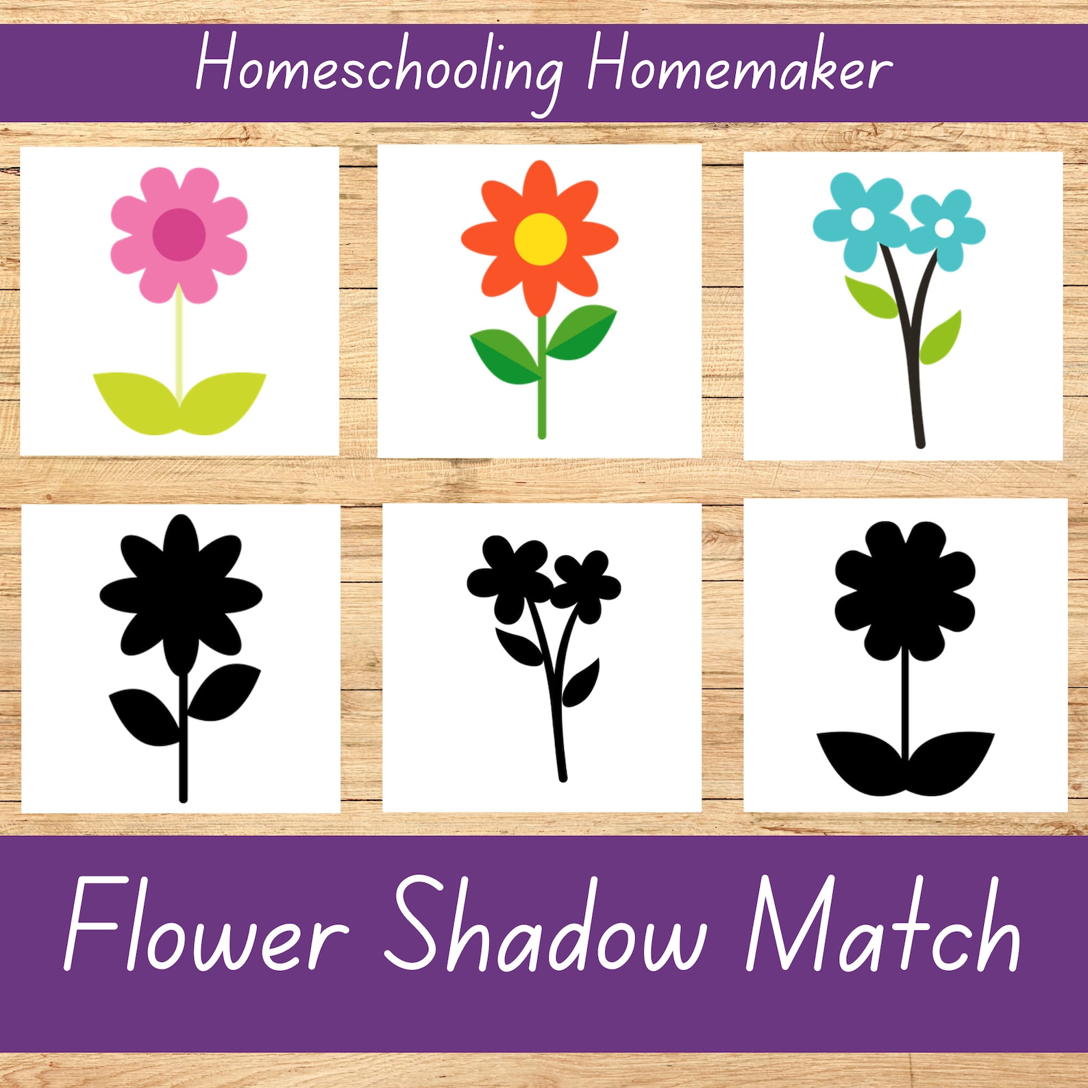 Shadow Matching Cards Flowers, Printable PDF, Preschool, Toddler ...