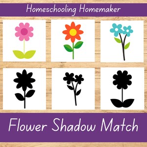 Shadow Matching Cards Flowers, Printable PDF, Preschool, Toddler ...