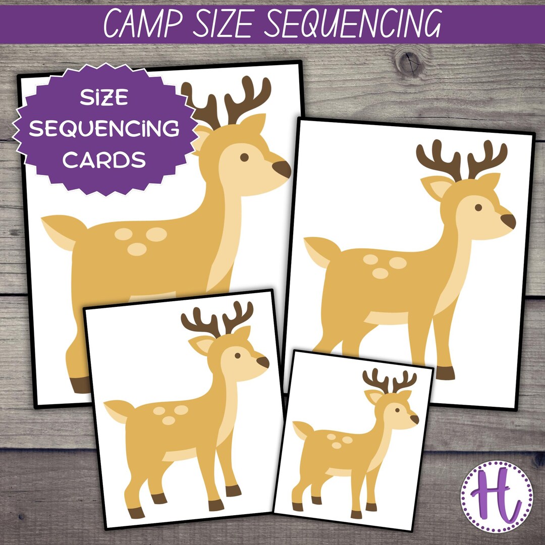 Camping Size Sequencing Cards, Printable Activity for Preschool - Etsy