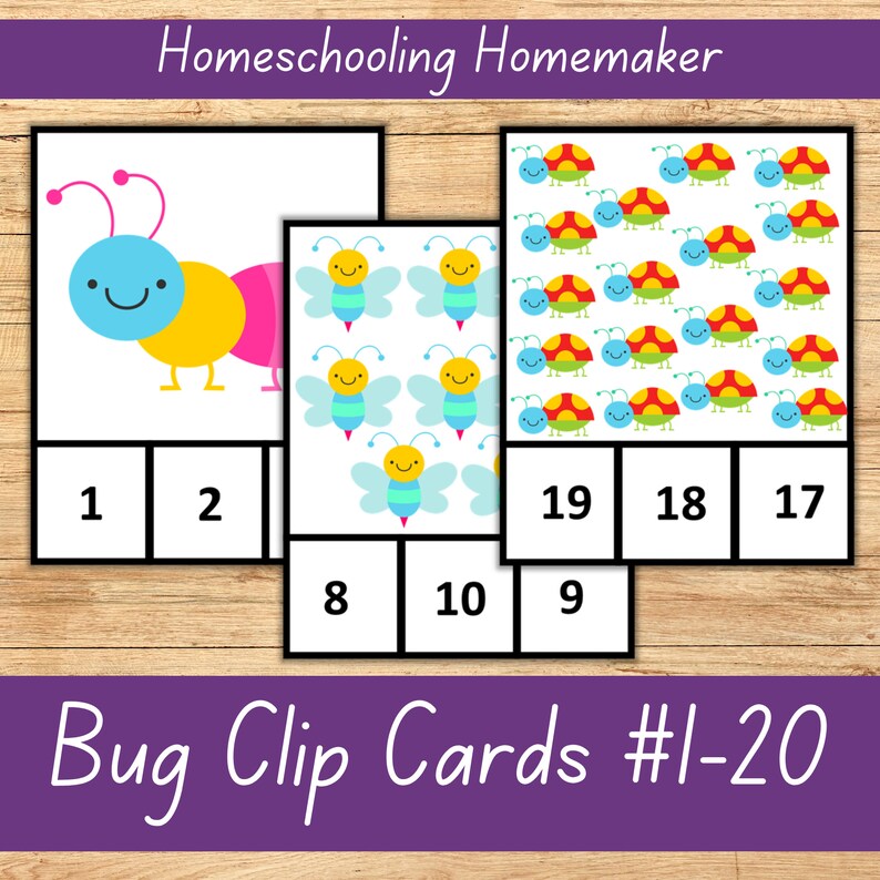 Bug Counting Clip Cards for Kids, Preschool Math Activity, Counting ...