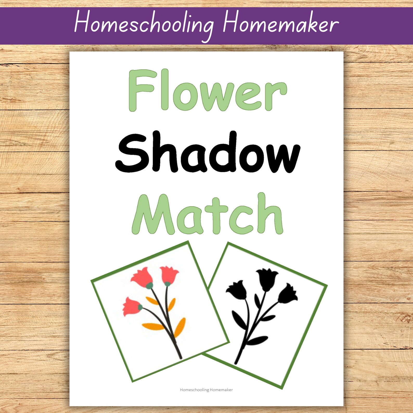 Shadow Matching Cards Flowers, Printable PDF, Preschool, Toddler ...