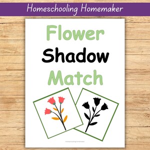 Shadow Matching Cards Flowers, Printable PDF, Preschool, Toddler ...
