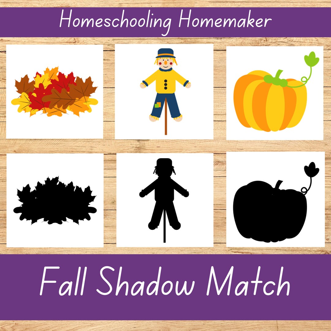 Fall Shadow Matching Cards for Kids in Preschool or - Etsy