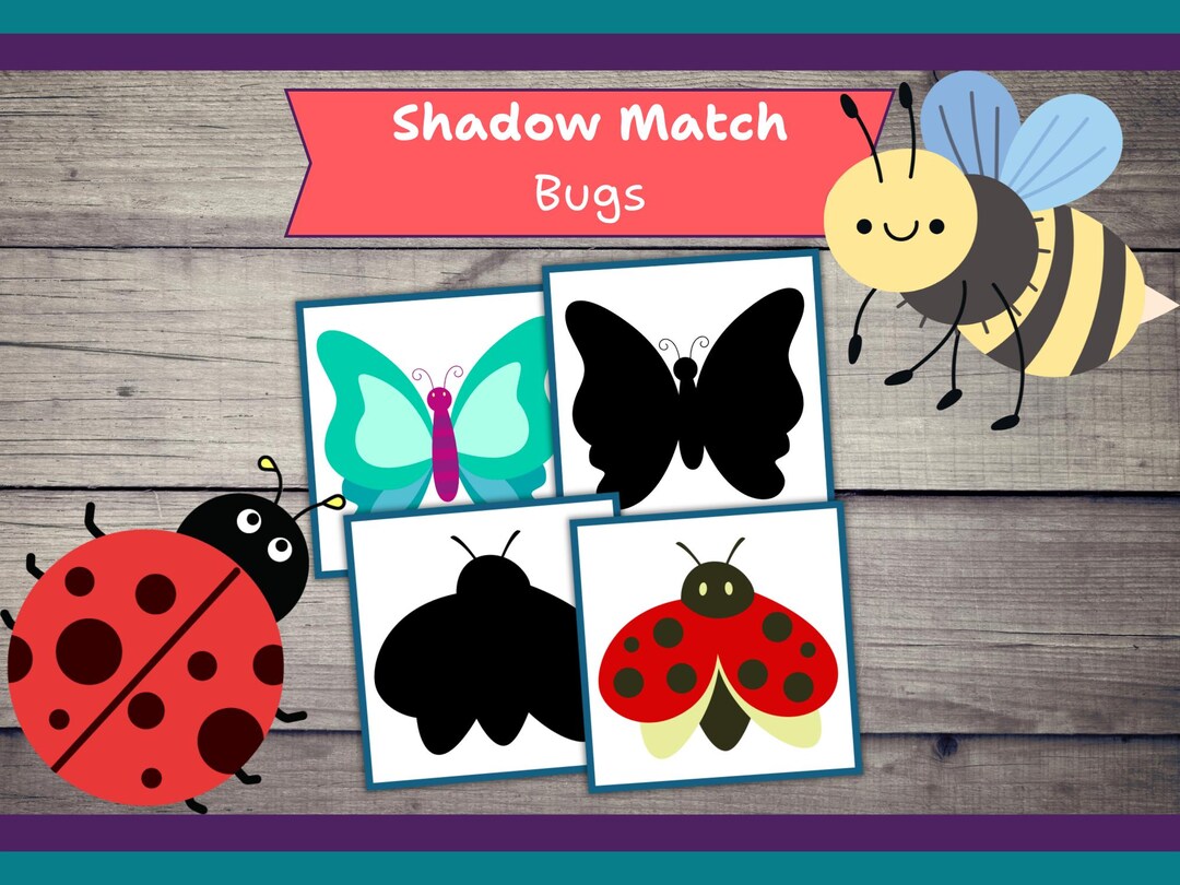 Bug Shadow Match Game, Printable Activity for Preschool (PDF) - Etsy