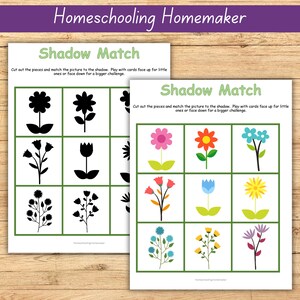 Shadow Matching Cards Flowers, Printable PDF, Preschool, Toddler ...