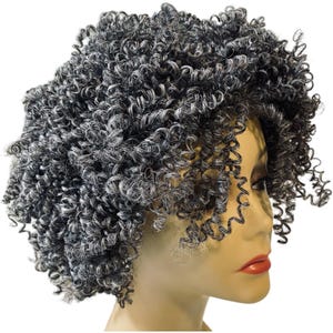 ASHRO Curly Wig Dark Gray Coil Curls for Mature Black Women One Size ...