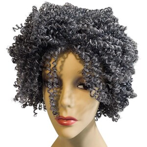 ASHRO Curly Wig Dark Gray Coil Curls for Mature Black Women One Size ...