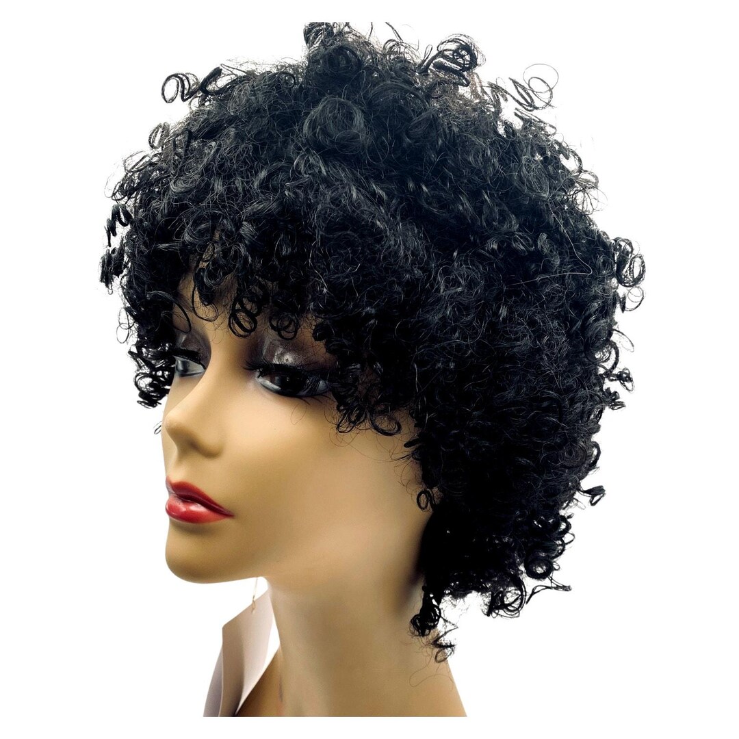 ASHRO Katrina Jet Black Curly Human Hair Wigs for Black Women Large ...
