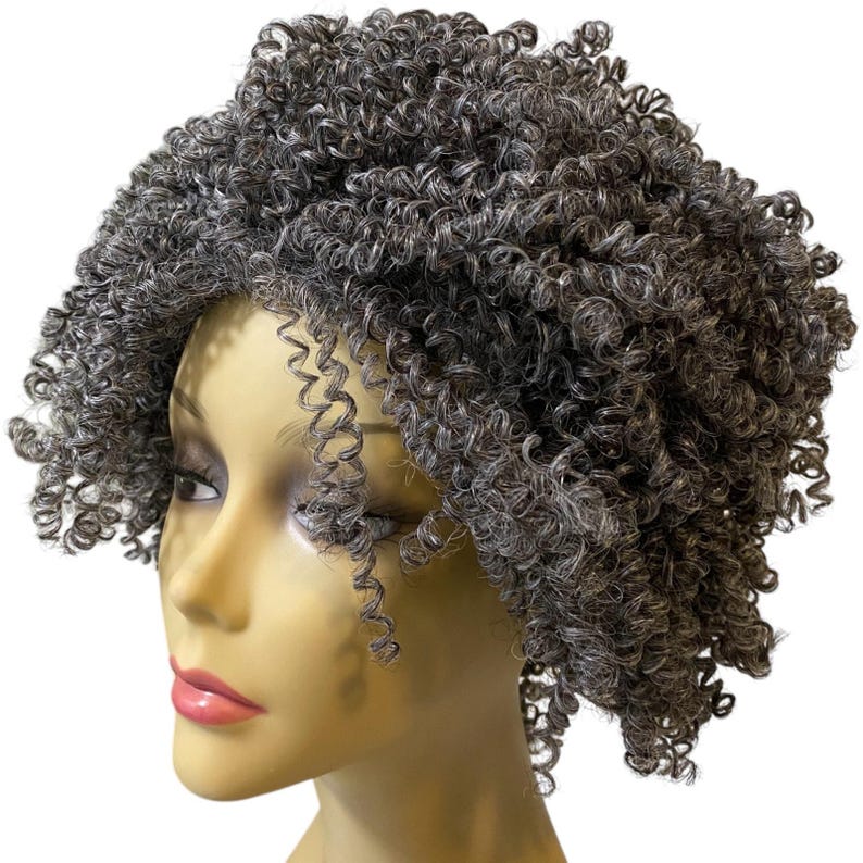 ASHRO Curly Wig Dark Gray Coil Curls for Mature Black Women One Size ...