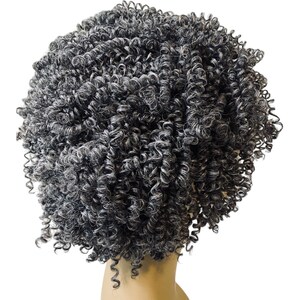 ASHRO Curly Wig Dark Gray Coil Curls for Mature Black Women One Size ...