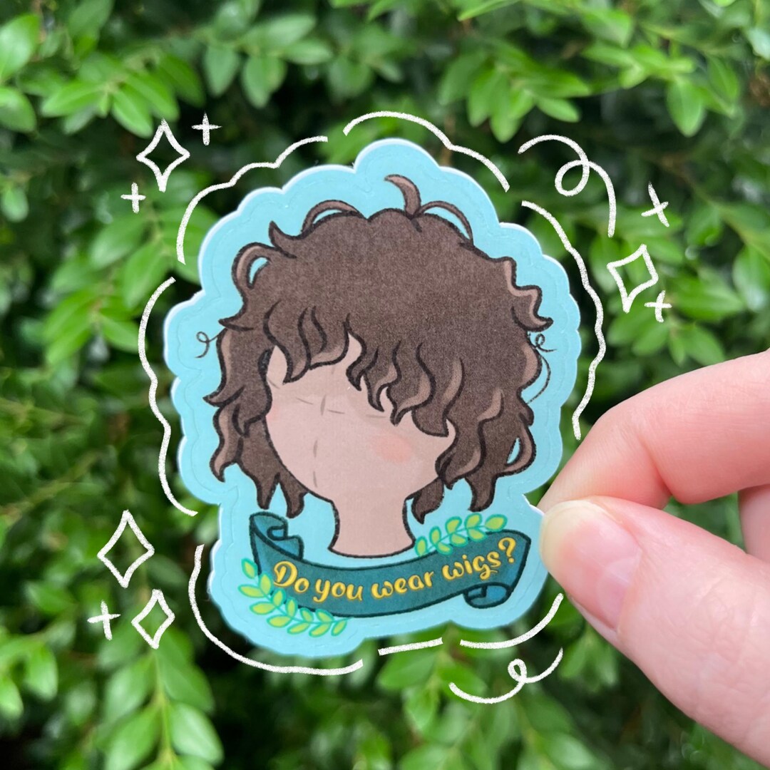 Do You Wear Wigs? Sticker | Meme Sticker | Funny Sticker - Etsy
