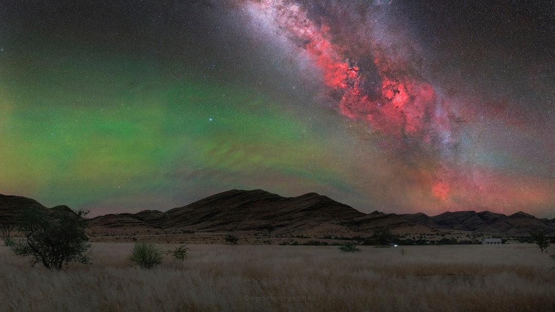 Poster Print Photo Cygnus in the Southern Sky May 2022 - Etsy