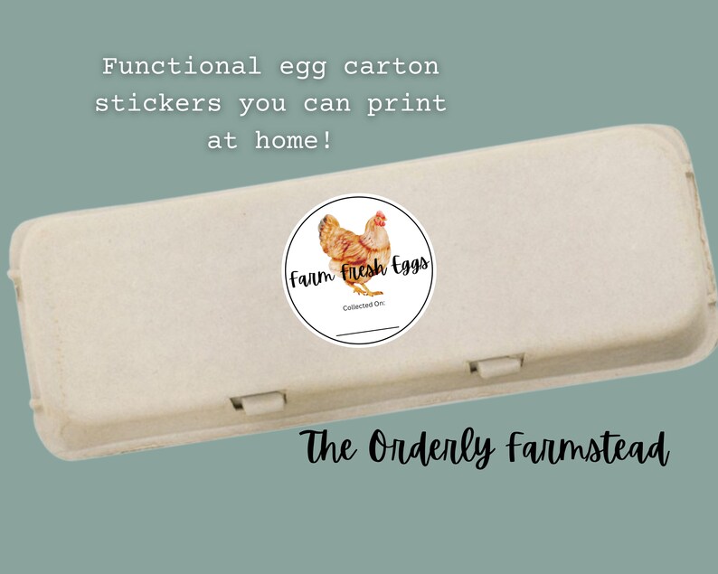 Egg Carton Label Printable File Write on Date Digital Download Homestead Farmstead Chickens Eggs ...