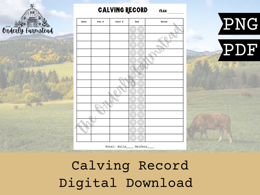 Calving Records- Printable File-calving Season- Digital Download ...