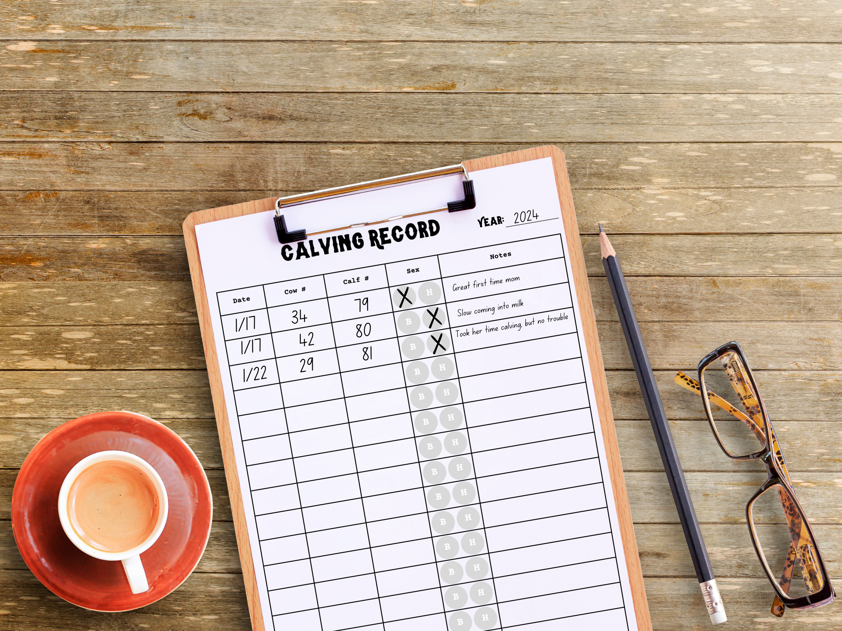 Calving Records- Printable File-calving Season- Digital Download ...