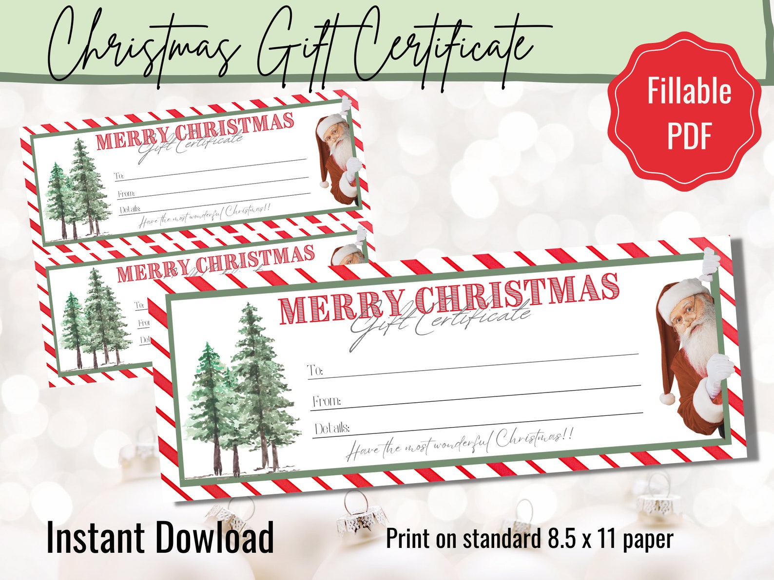 Printable Christmas Gift Certificate, Fillable Gift Certificate Voucher ...