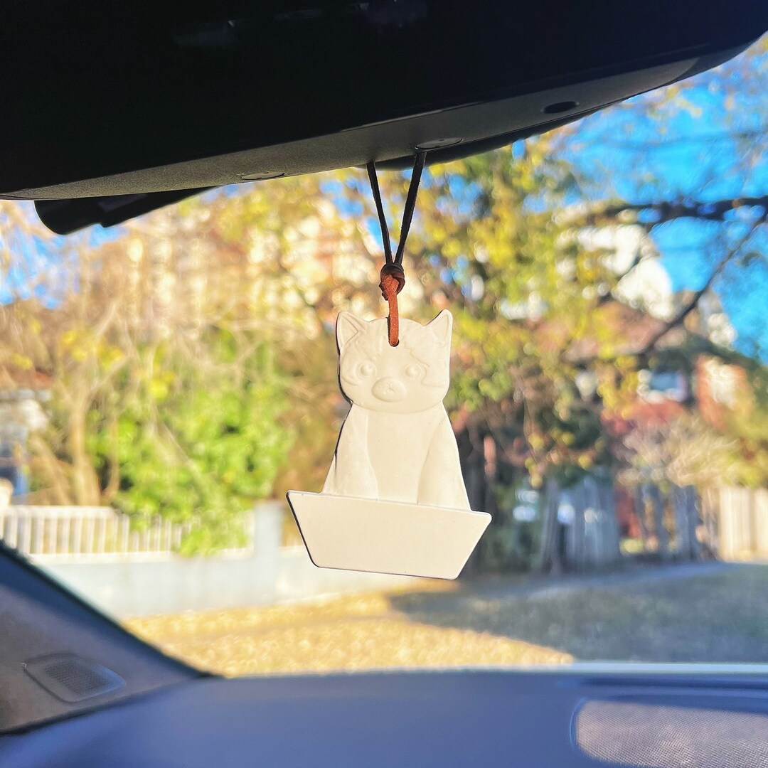 Car Air Freshener, Cat in Litter Box Car Hanging Diffuser, Car Hanger ...