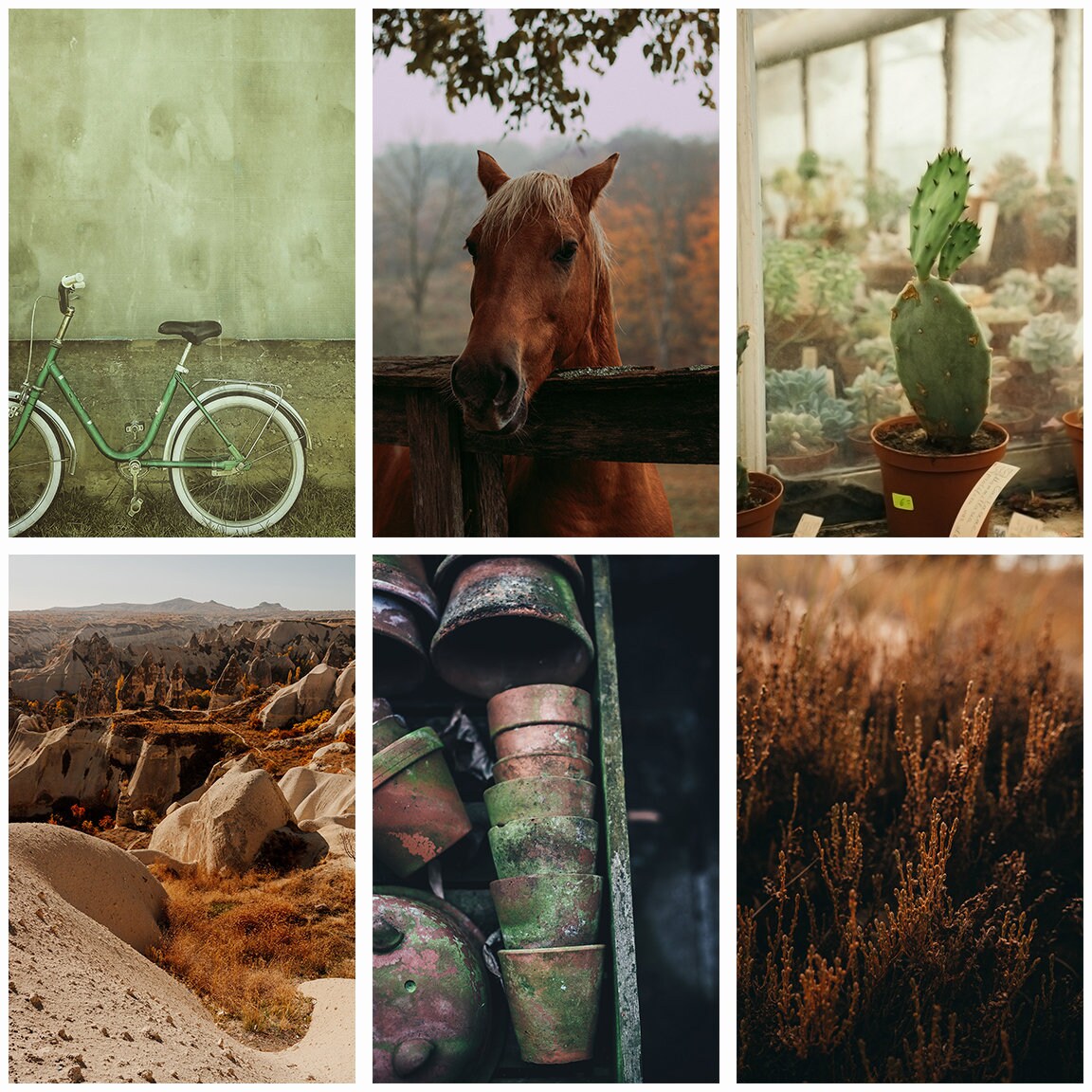 Terracotta Wall Collage Kit Earth Tone Wall Art Moss Green Prints With ...