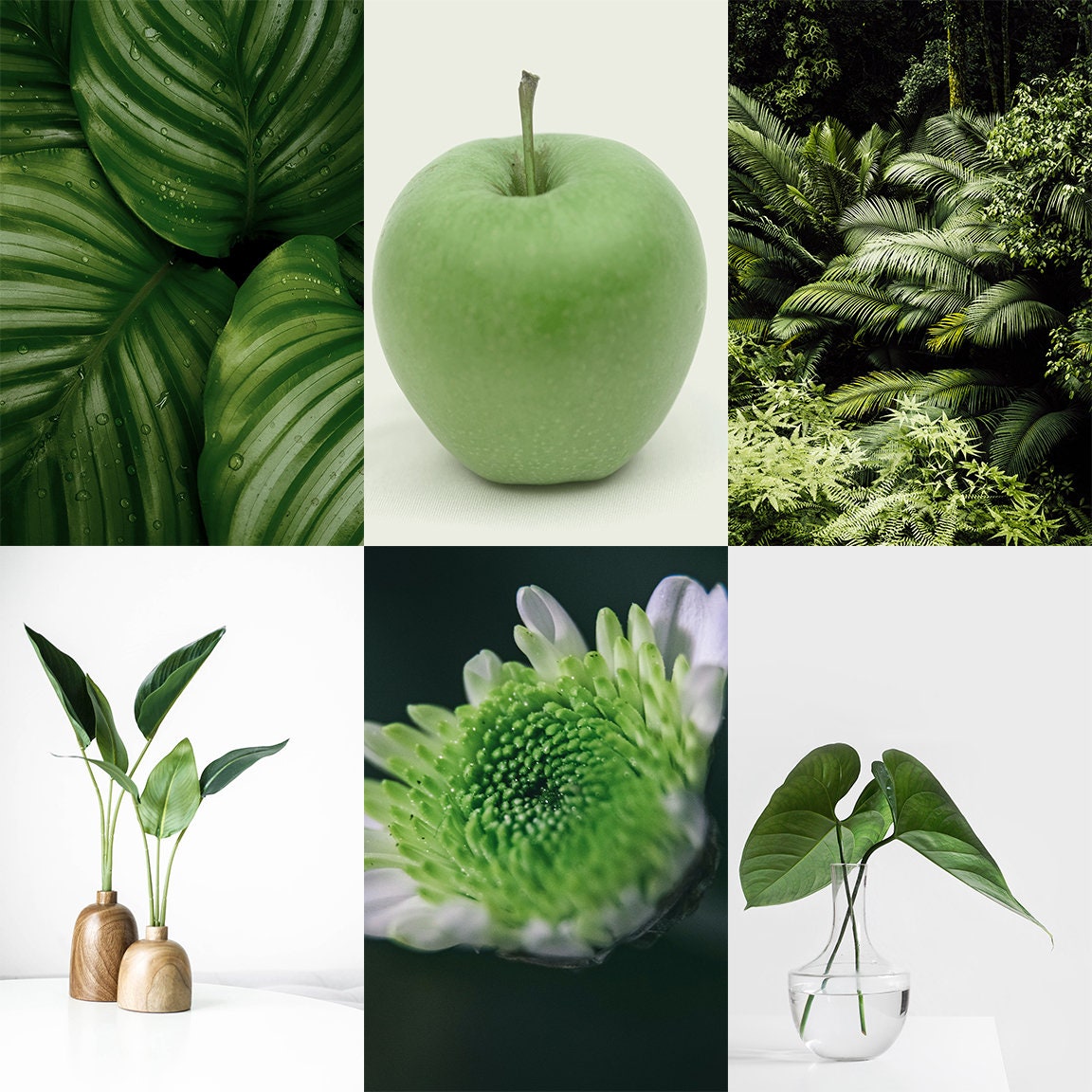 Green Wall Collage Kit 50 PCS With Motivational Phrases College ...