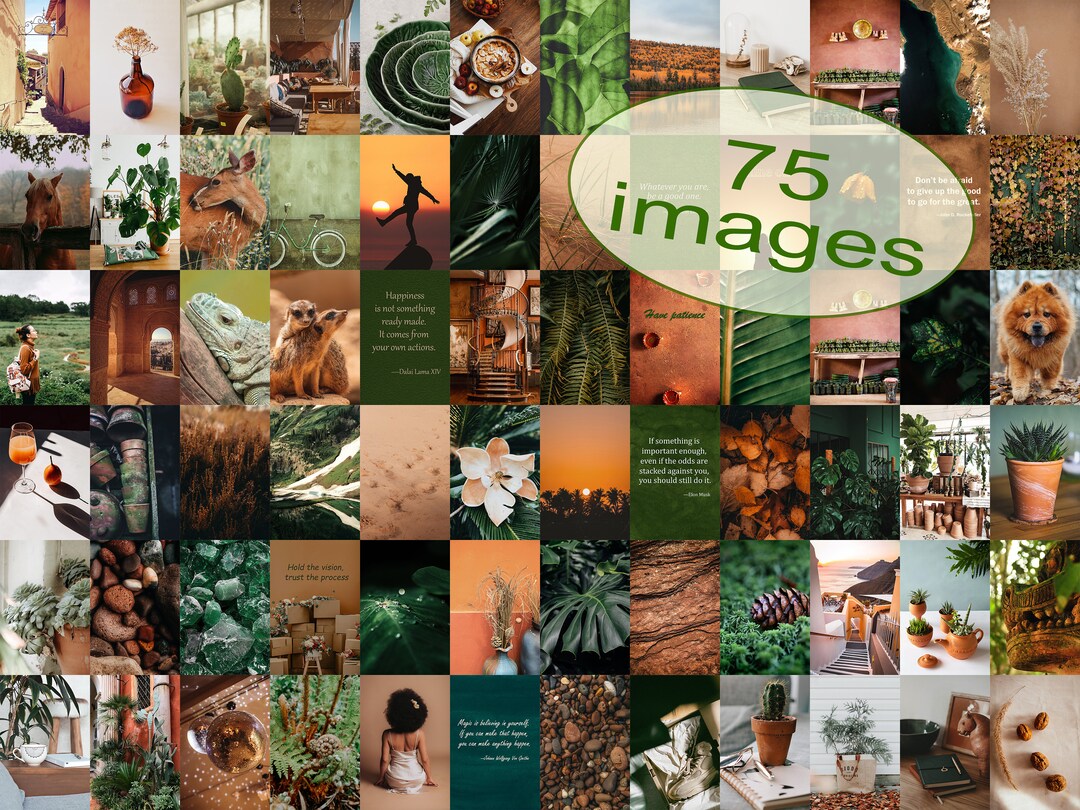 Terracotta Wall Collage Kit Earth Tone Wall Art Moss Green Prints With ...
