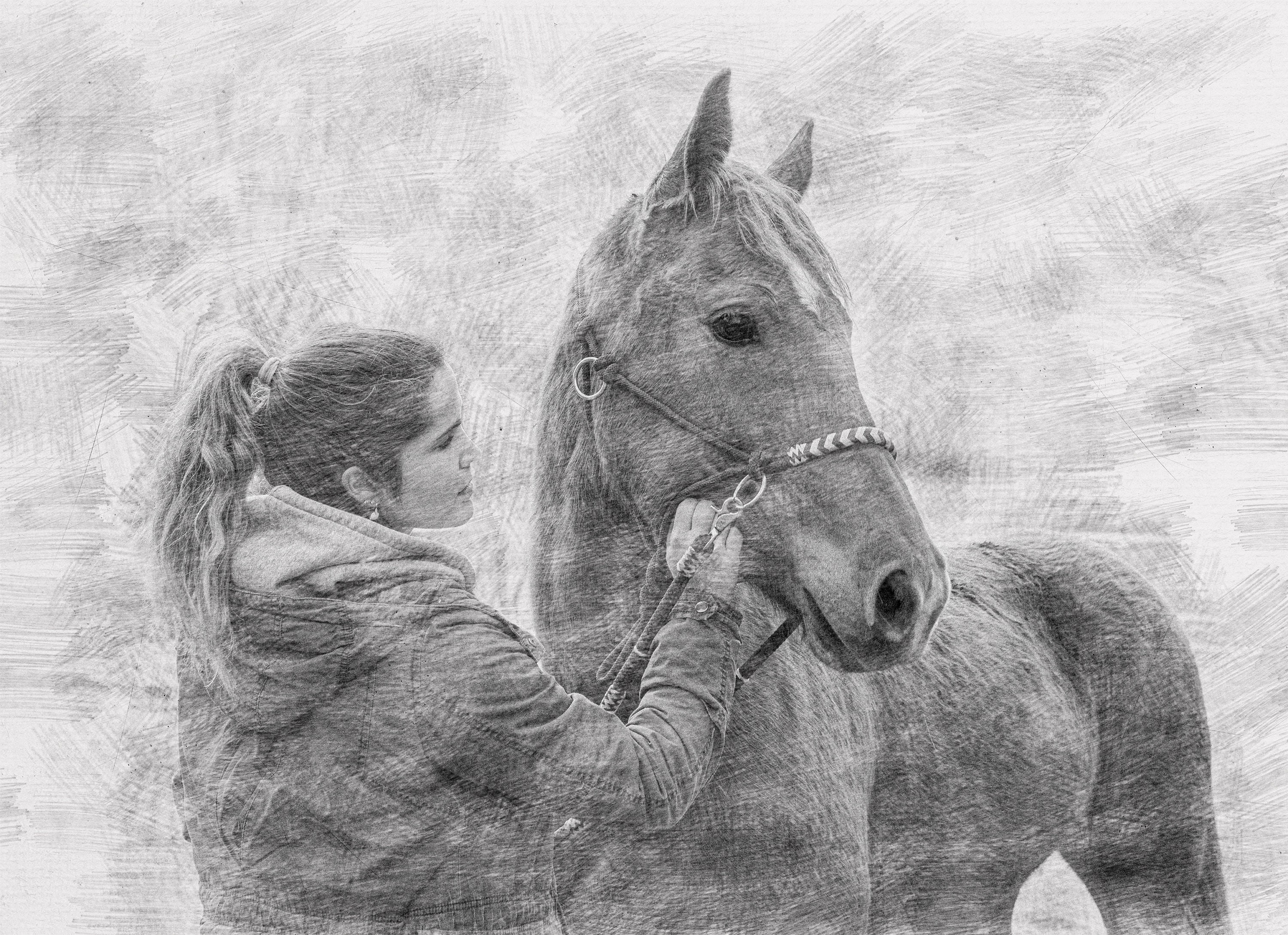 Custom Sketch From Photo Horse Memorial Gift Pet Remembrance Gift ...