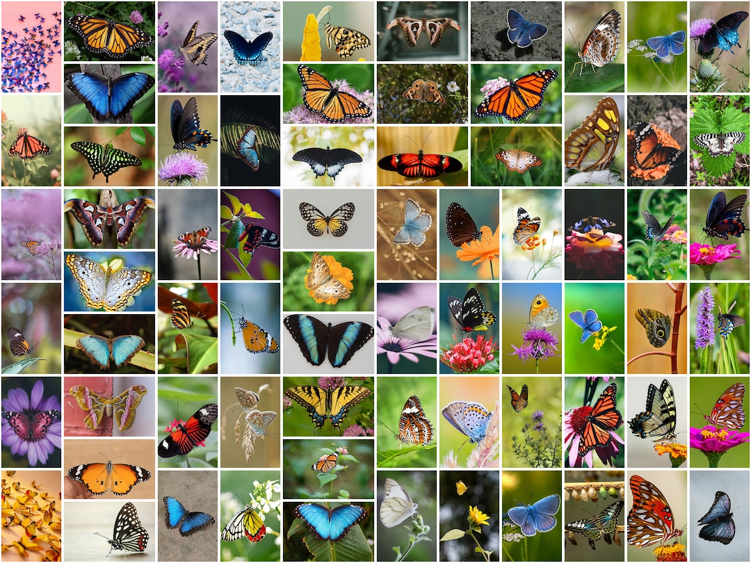 Butterfly Wall Collage Kit Aesthetic Photo Printable Insect Wall Art ...