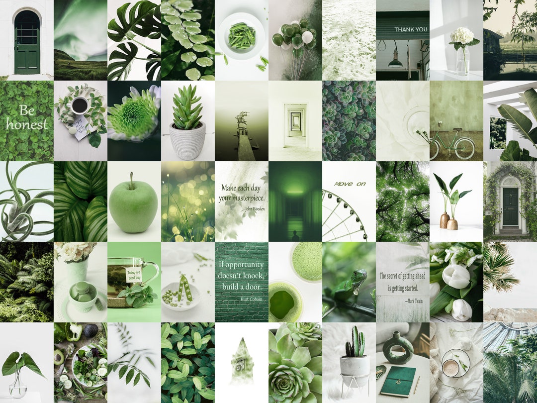 Green Wall Collage Kit 50 PCS With Motivational Phrases College ...