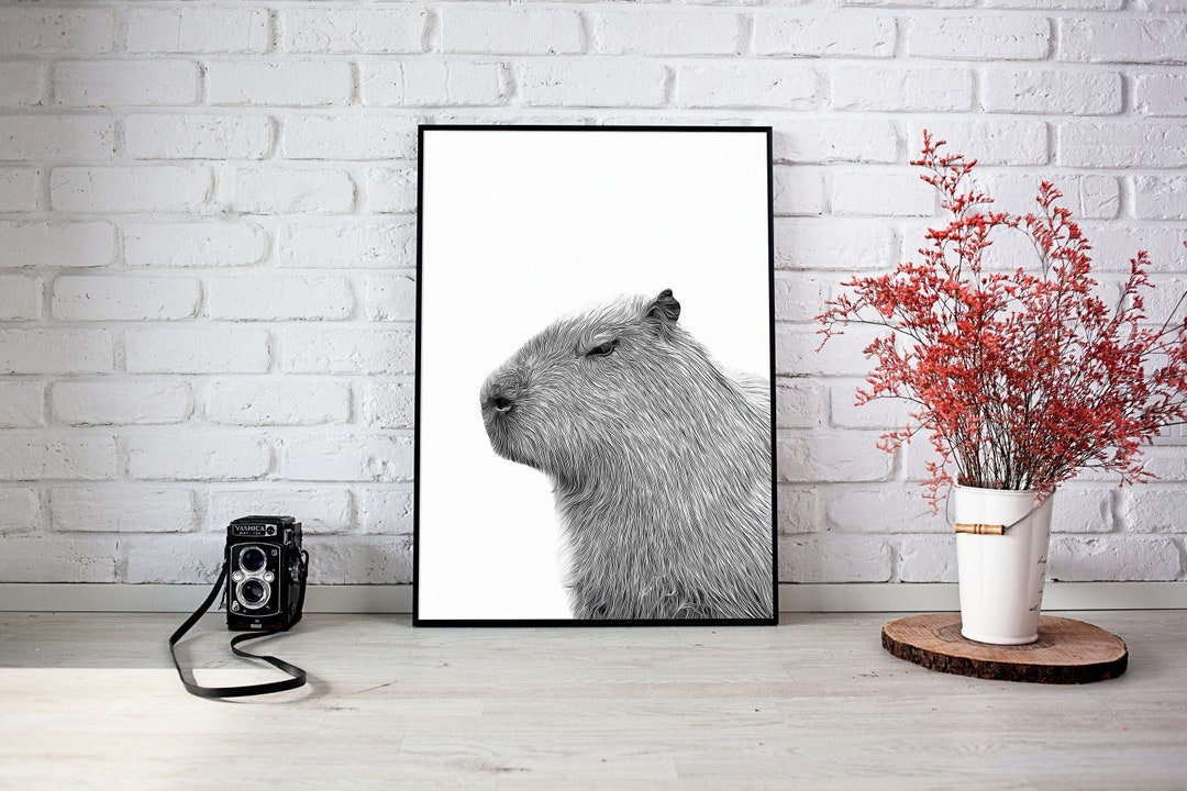 Capybara Print College Apartment Decor Capybara Wall Art Poster Teenage ...