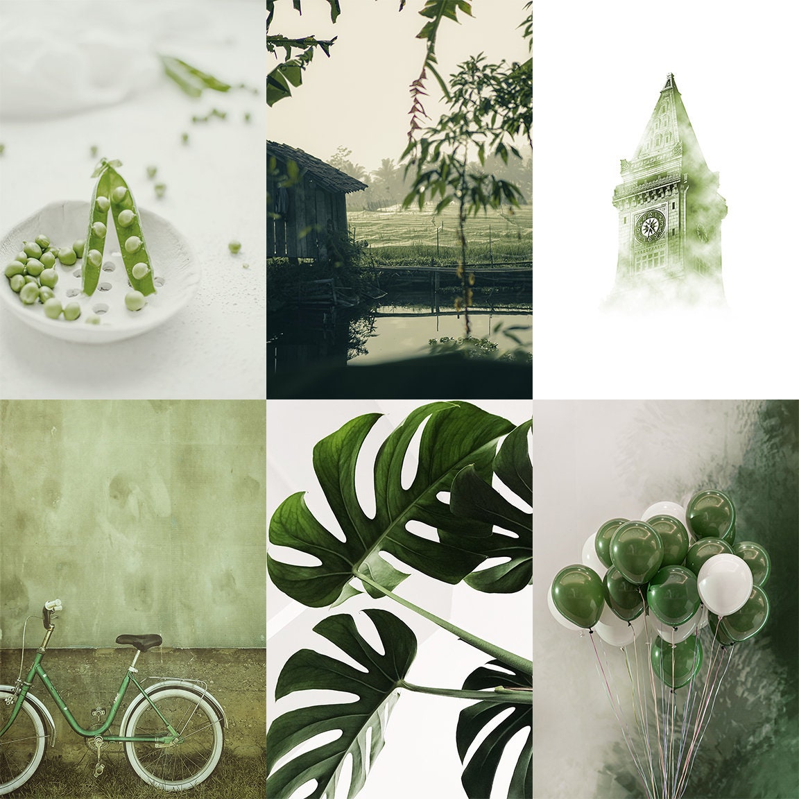 Green Wall Collage Kit 50 PCS With Motivational Phrases College ...