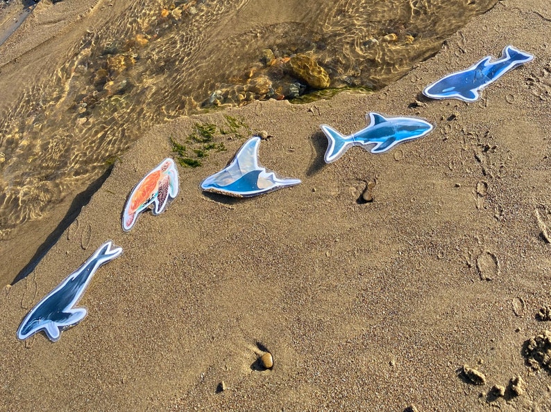 Ocean Animal Activity & Learning Pack Digital Download - Etsy