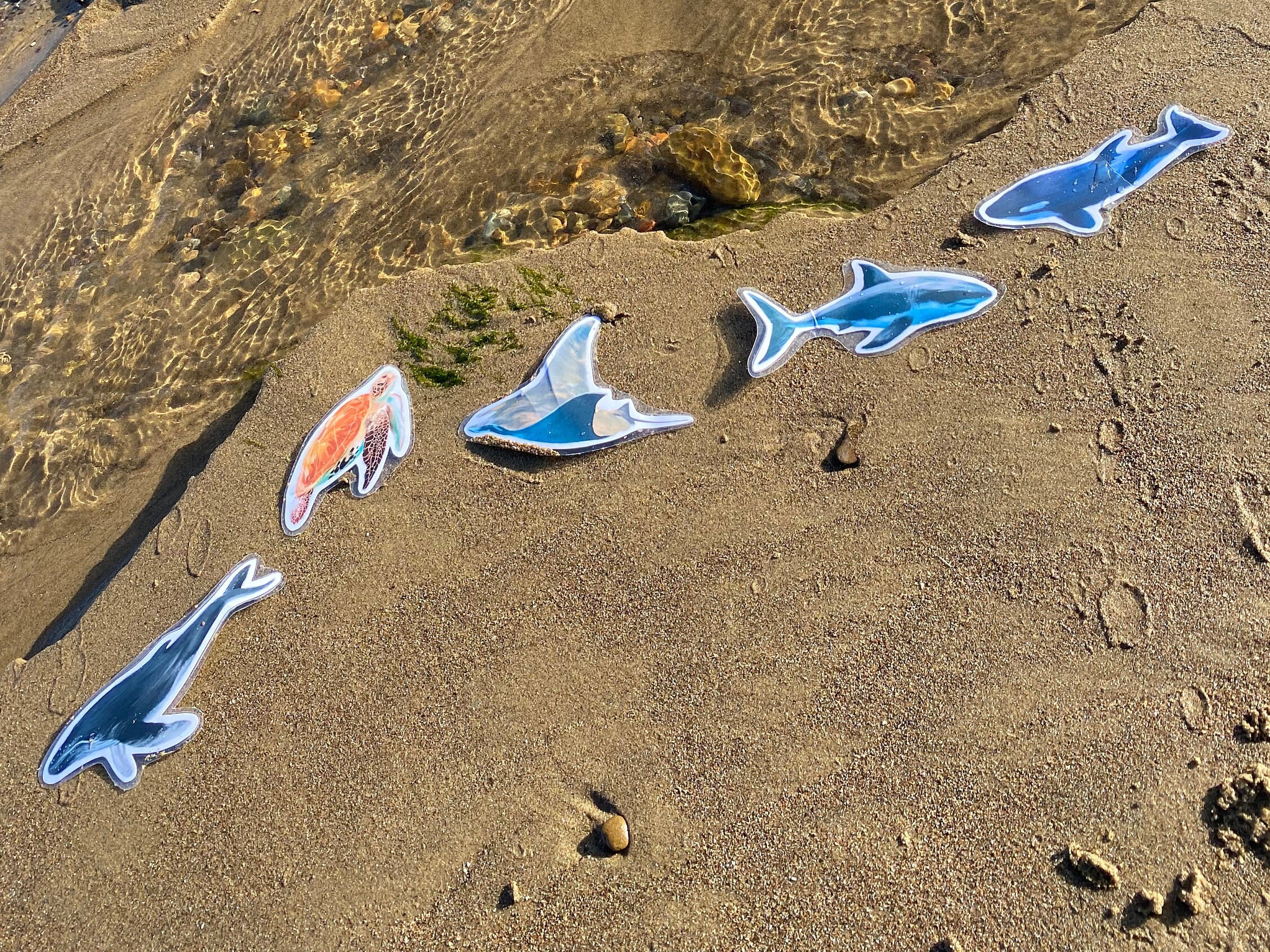 Ocean Animal Activity & Learning Pack Digital Download - Etsy