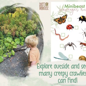 Mini Beast Activity & Learning Pack | Digital Download | Montessori ...