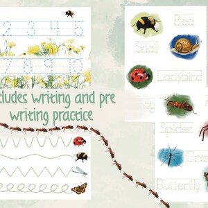 Mini Beast Activity & Learning Pack | Digital Download | Montessori ...
