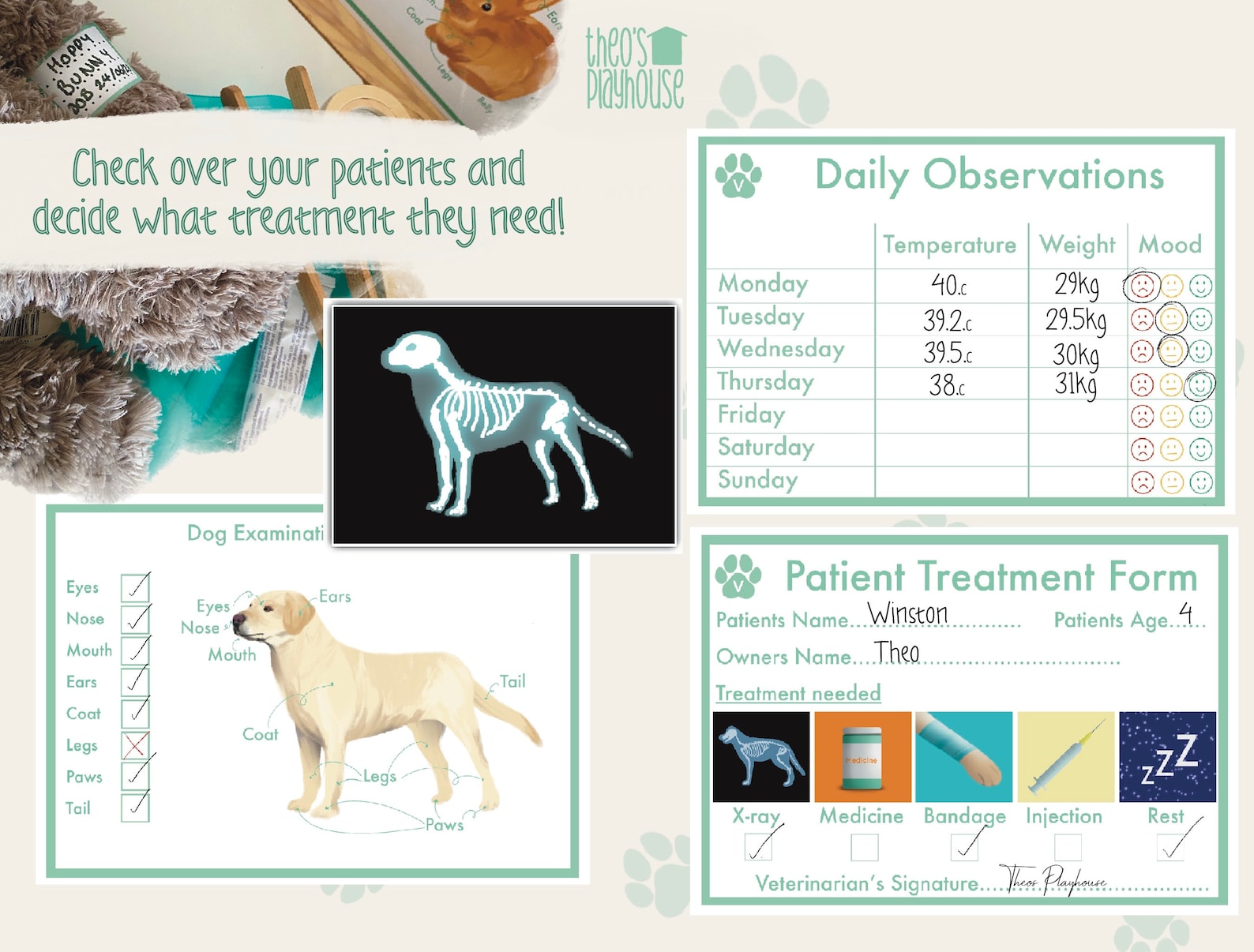 Veterinarian Dramatic Play Pack Digital Download - Etsy