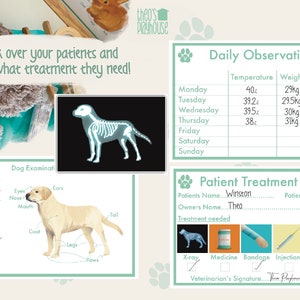 Veterinarian Dramatic Play Pack | Digital Download | Montessori | Early ...