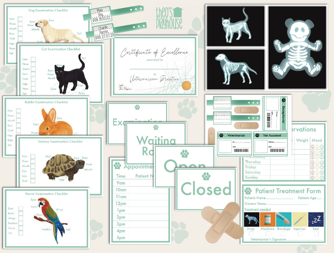 Veterinarian Dramatic Play Pack | Digital Download | Montessori | Early ...