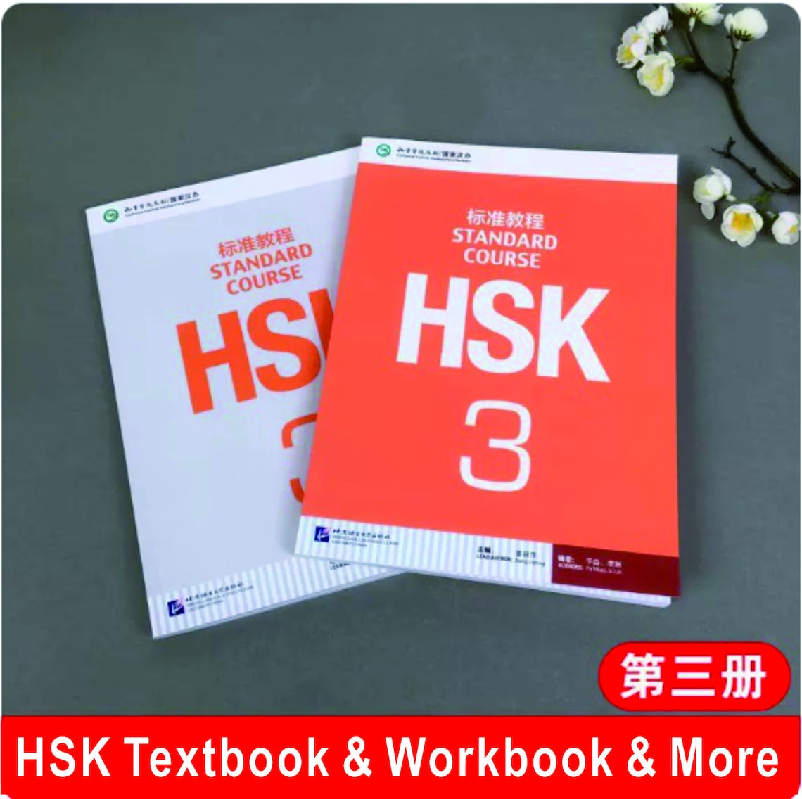 HSK3 Standard Course Premium Bundle Instant Download Includes Student Textbook & Workbook W MP3 ...