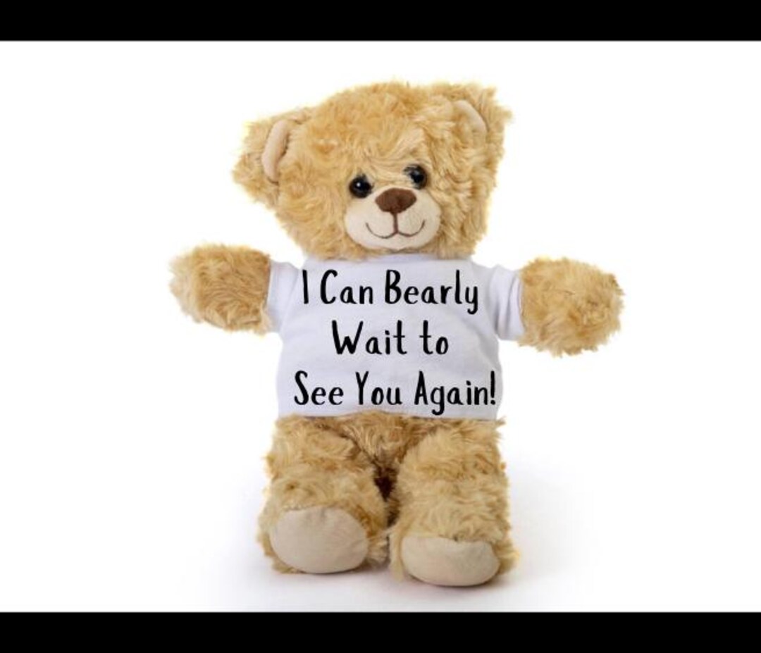 I Can Bearly Wait to See You Again! Teddy Bear Gift for Sweethearts ...