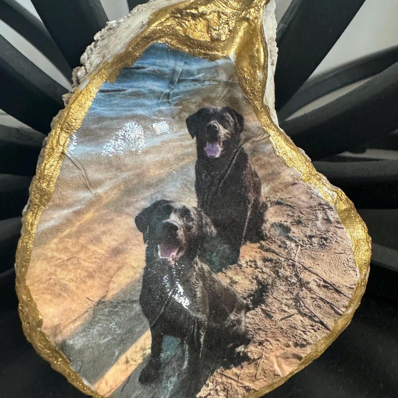 Oyster Shells With Dogs - Etsy