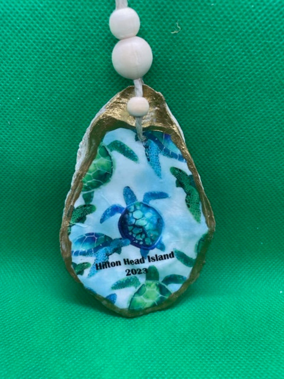 Loggerhead Turtle Shell - Etsy