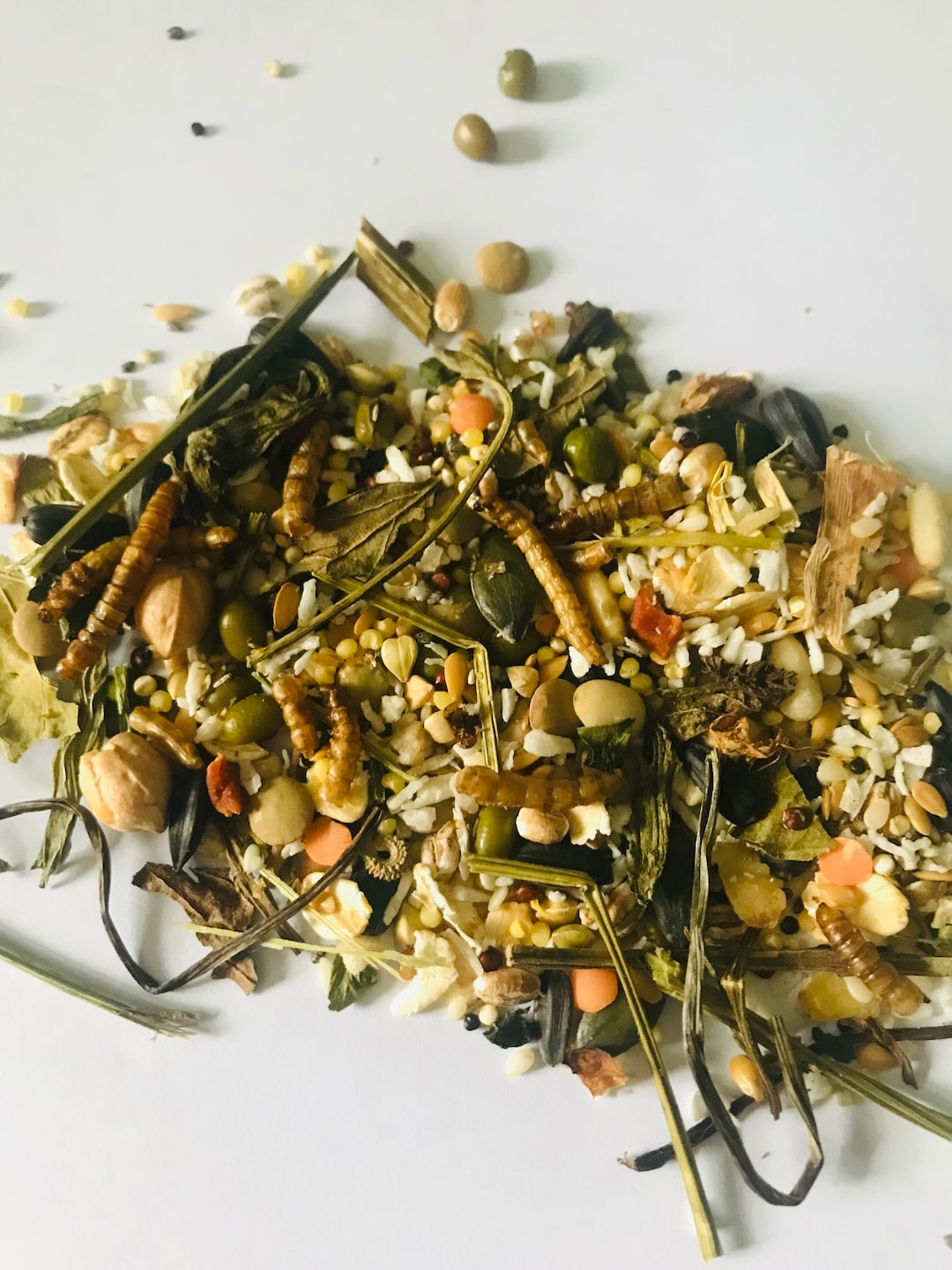 Gourmet Mouse Food - Etsy