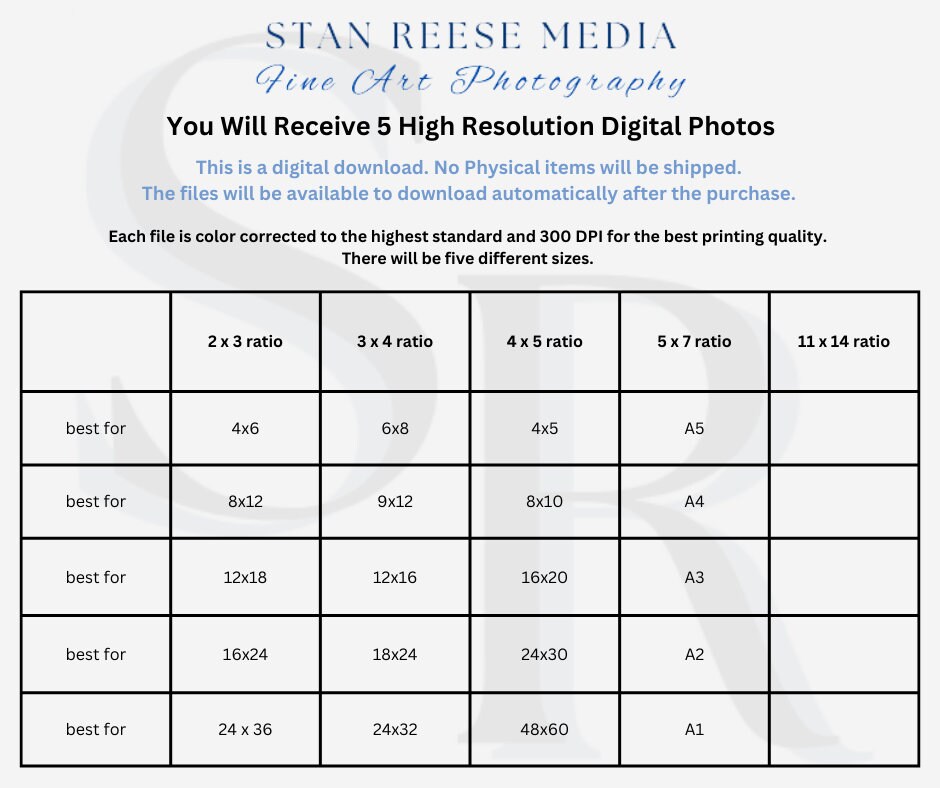 Falcon A Classic Ford Falcon Greets the World at Old Car - Etsy