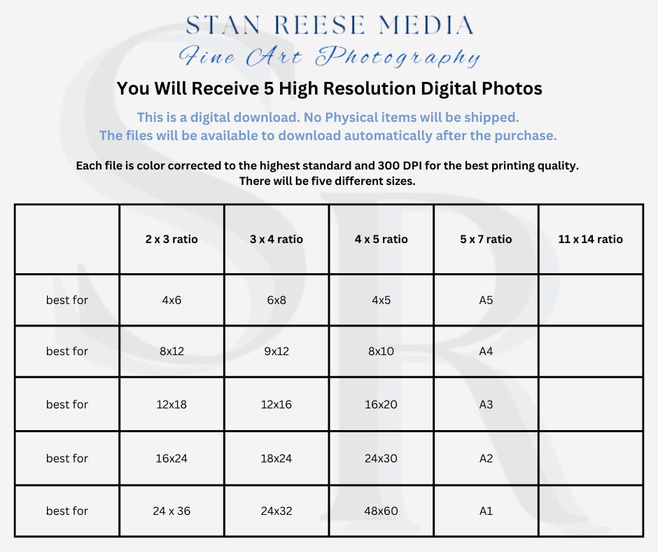 Alaska Railroad 2 Man Cave Printable Wall Art Alaska Fine Art ...