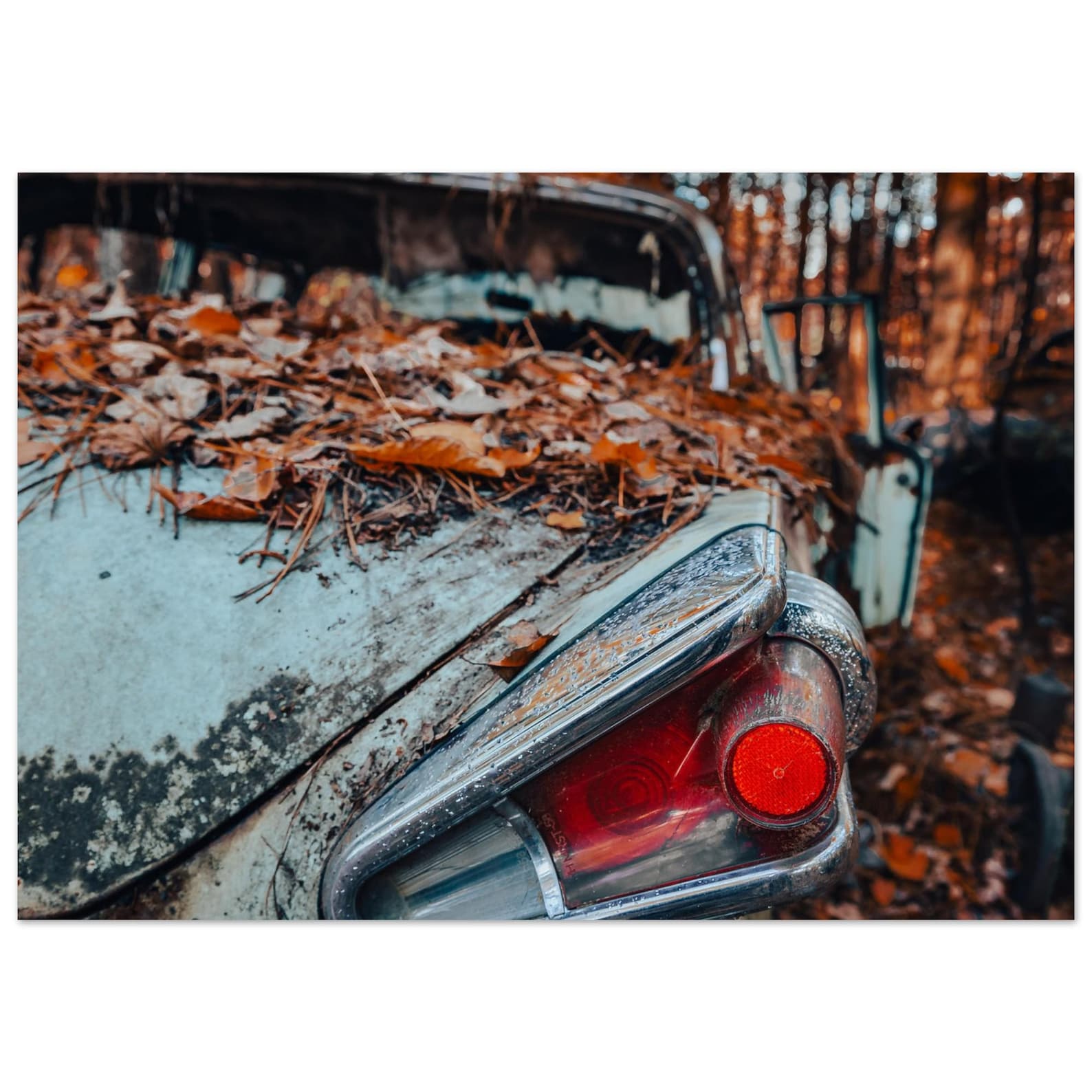 Print - Rust & Time – Vintage Tail Light Fine Art Print - Etsy