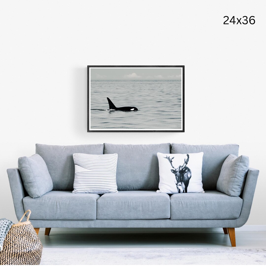 Orca Killer Whale Black and White Wildlife Photography Print - Etsy